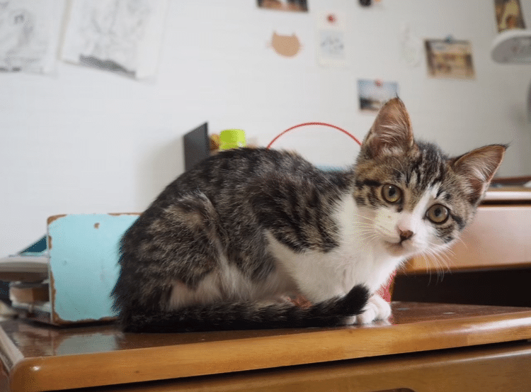 その先で｜ふみ