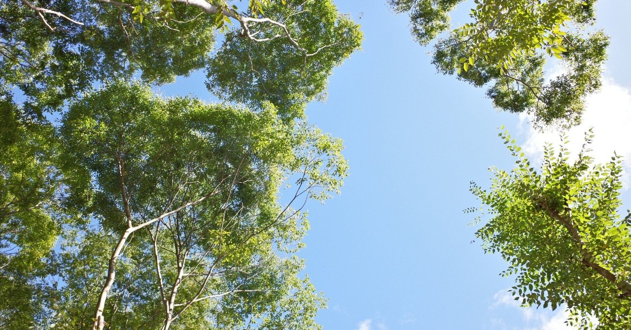 「未完成のまま、走り続けるという選択」｜yuhei_34