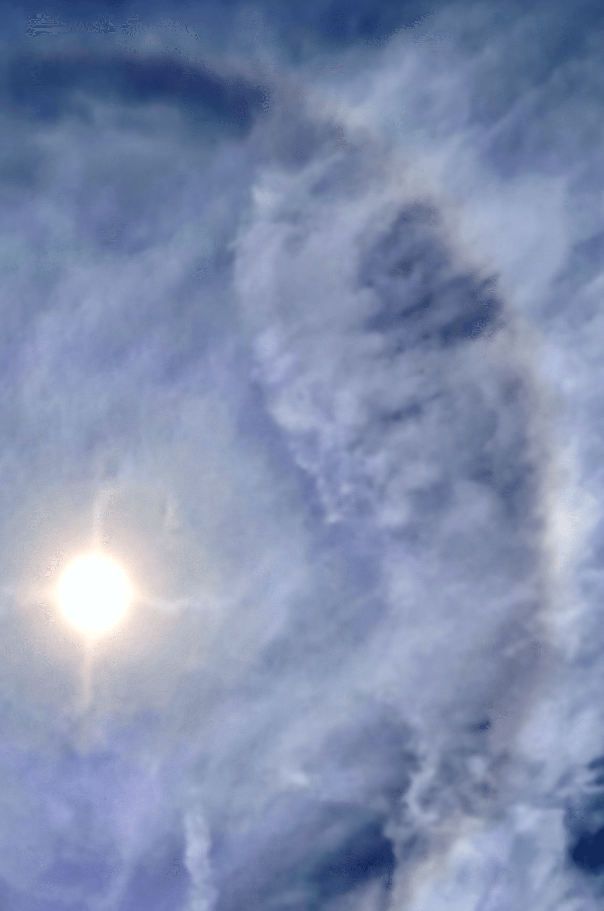 AIでひろがる世界🦉🦅🦌｜銀花