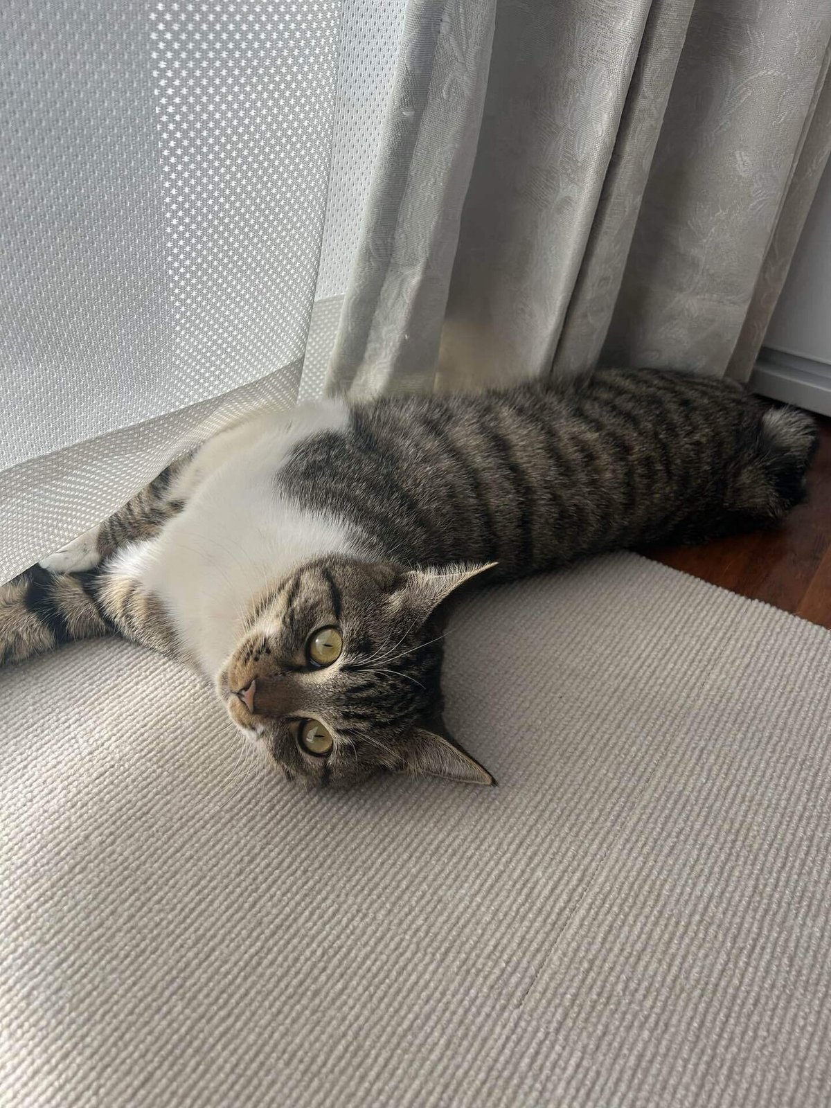 年末年始の記録｜ふうき