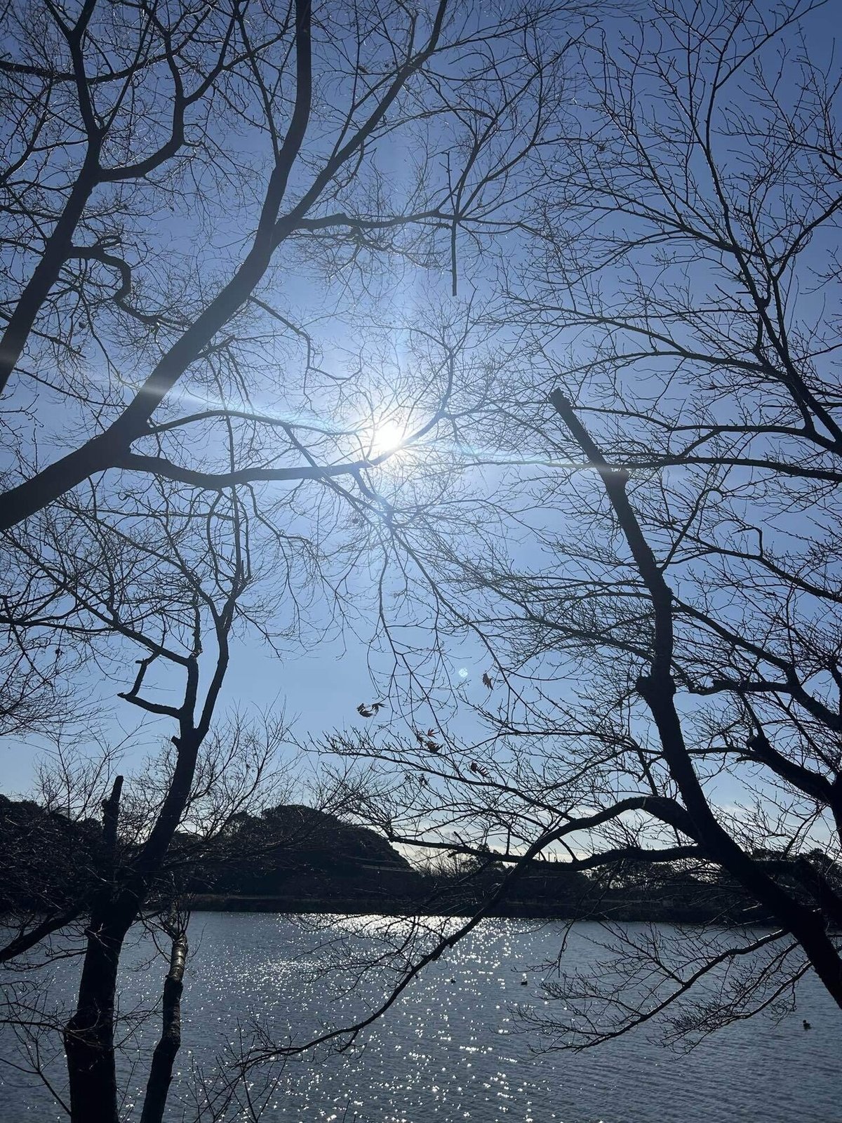 年末年始の記録｜ふうき