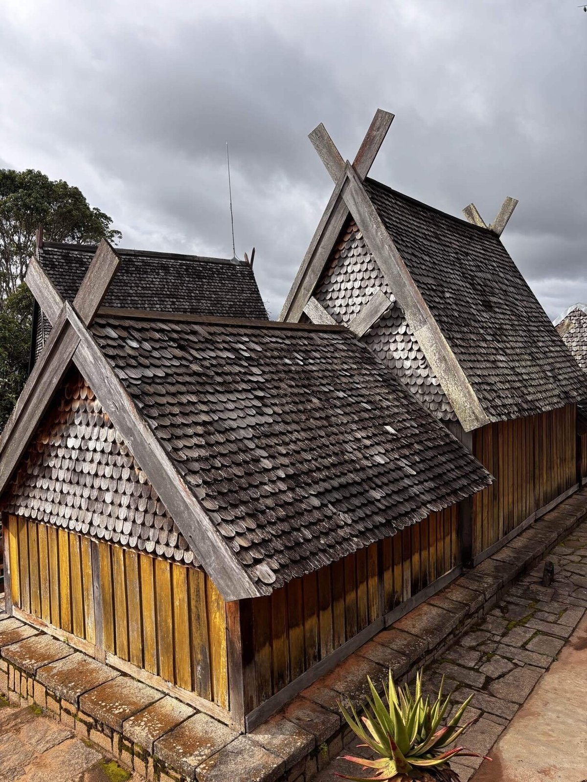 野生と保護と共存と。【マダガスカル旅行記】｜Riko Kasai/笠井凜心@100年後も和食を残したい