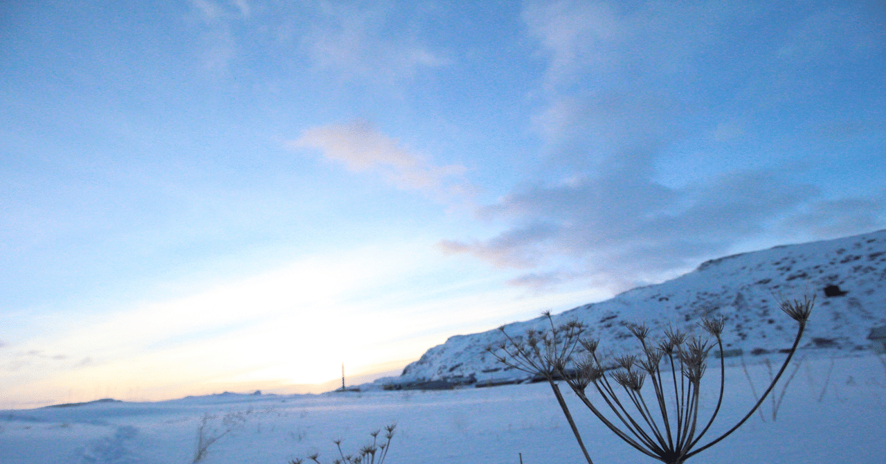 現実を無視出来なかった自分｜sweet-tooth