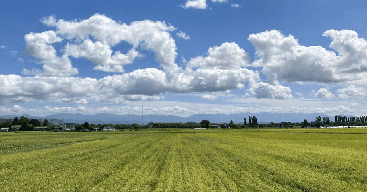 攣らない程度の背伸びが好き。｜かに