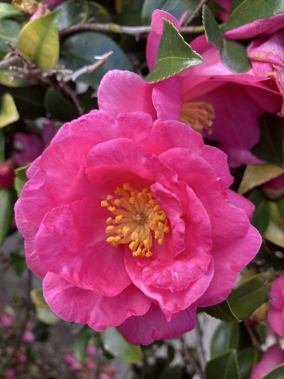 30photo's diary '26.01.09.｜Alexandre