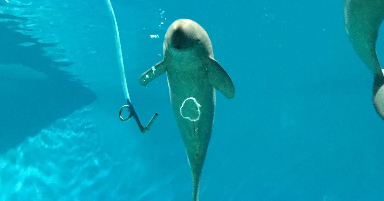 神様だと思っていた人が、実は人間だった話｜ぱずー