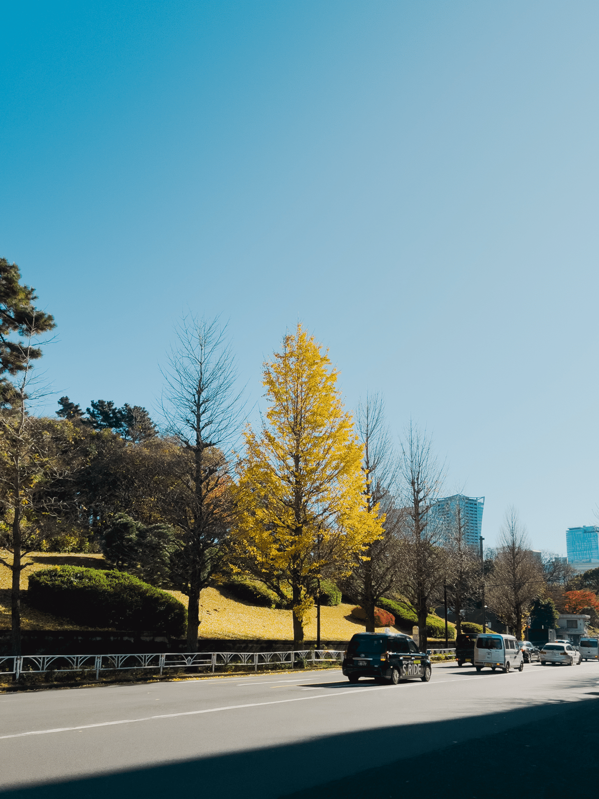 全てが過ぎ去った後にようやく君は泣くのかい？（2026.1.9）｜Taiga Inami