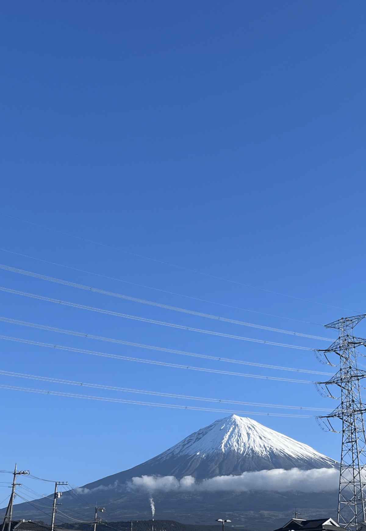 2026/01/09【今日のふじこ】｜saku35@イラストレーター