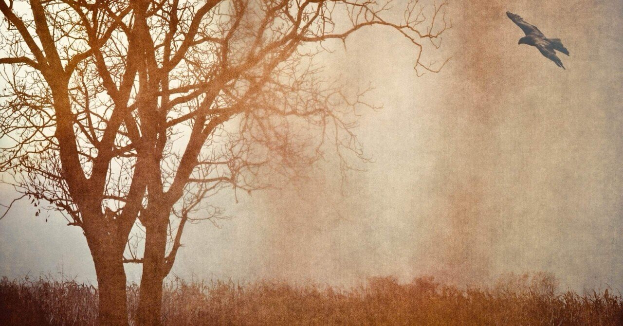 【短編小説】果実を齧った夜 －記憶を録音するfiction－｜アラタ― 記憶を録音するnote