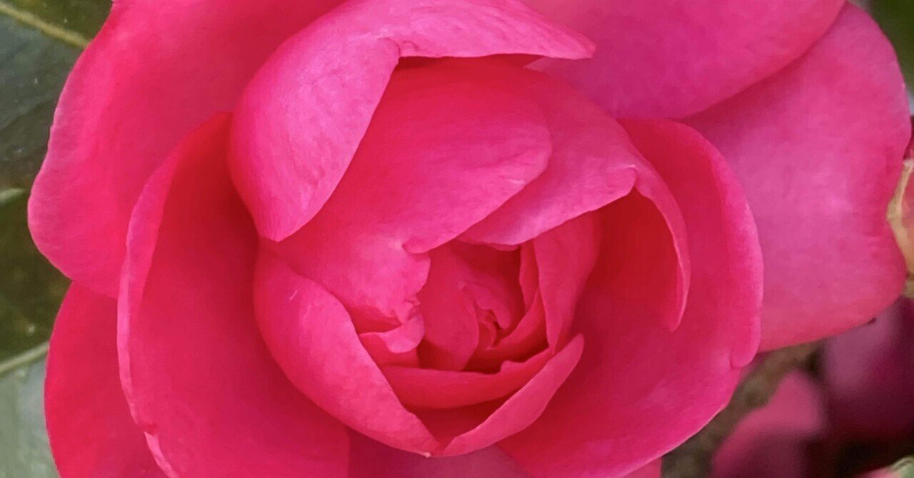 30photo's diary '26.01.10.｜Alexandre