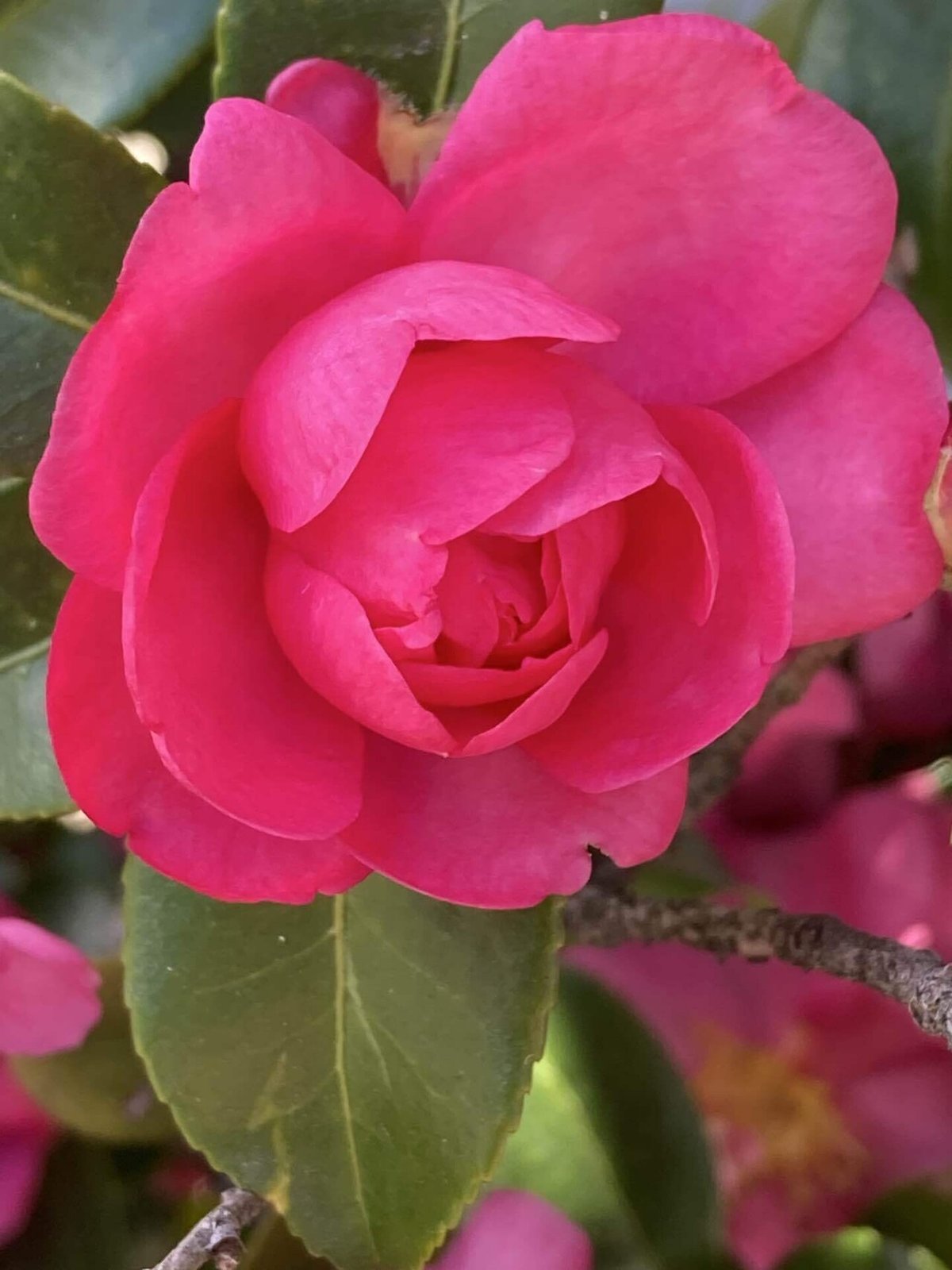 30photo's diary '26.01.10.｜Alexandre