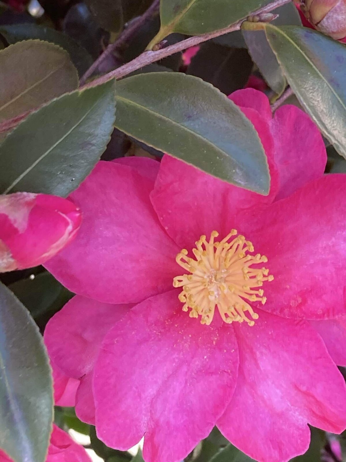 30photo's diary '26.01.10.｜Alexandre