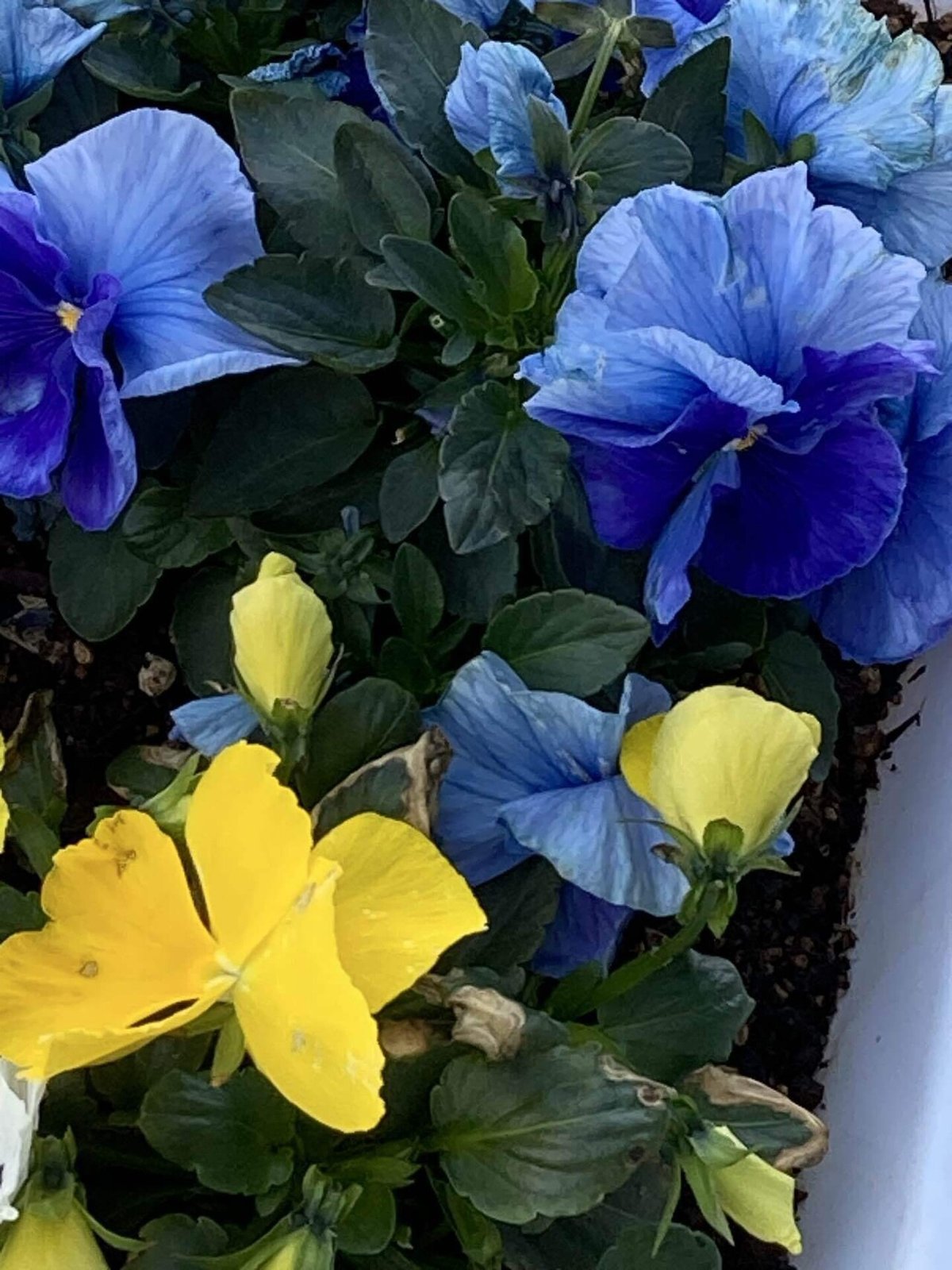 30photo's diary '26.01.10.｜Alexandre