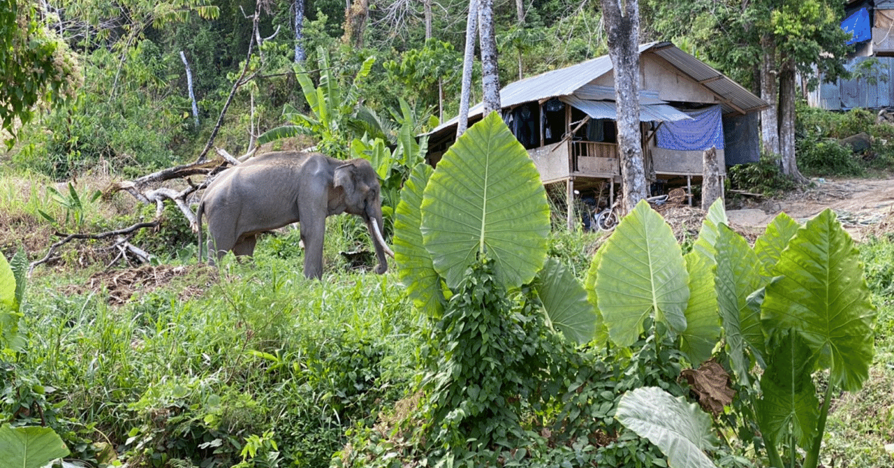 #29 コンテイジョン｜だつを