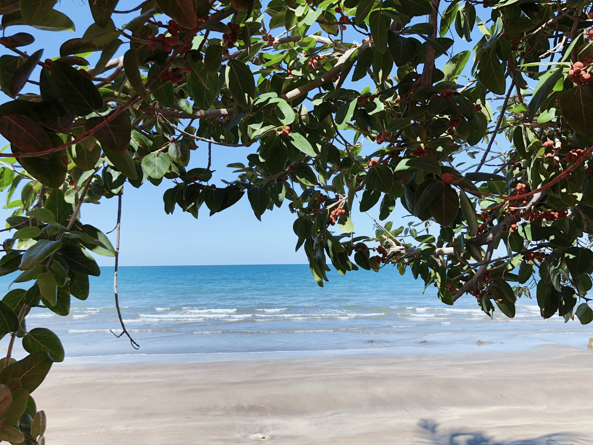 青木愛｜Megumi Aoki｜note