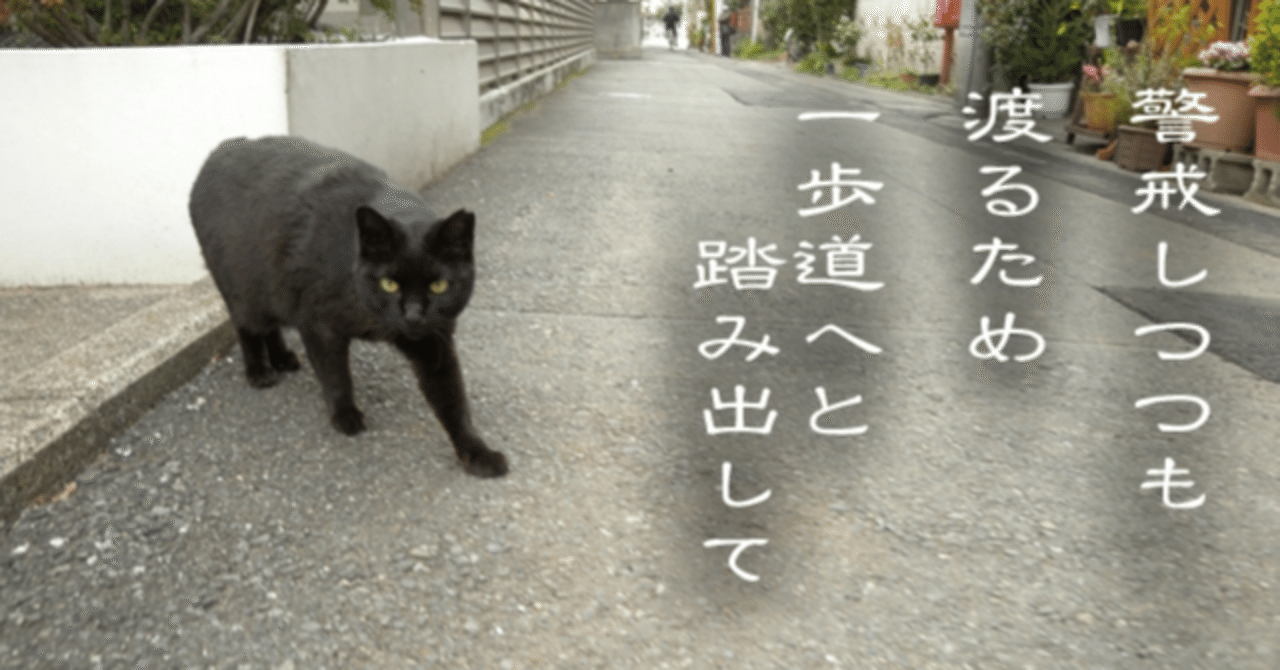 写真展の準備中｜ナオ | VRChatと現実のフォトグラファー