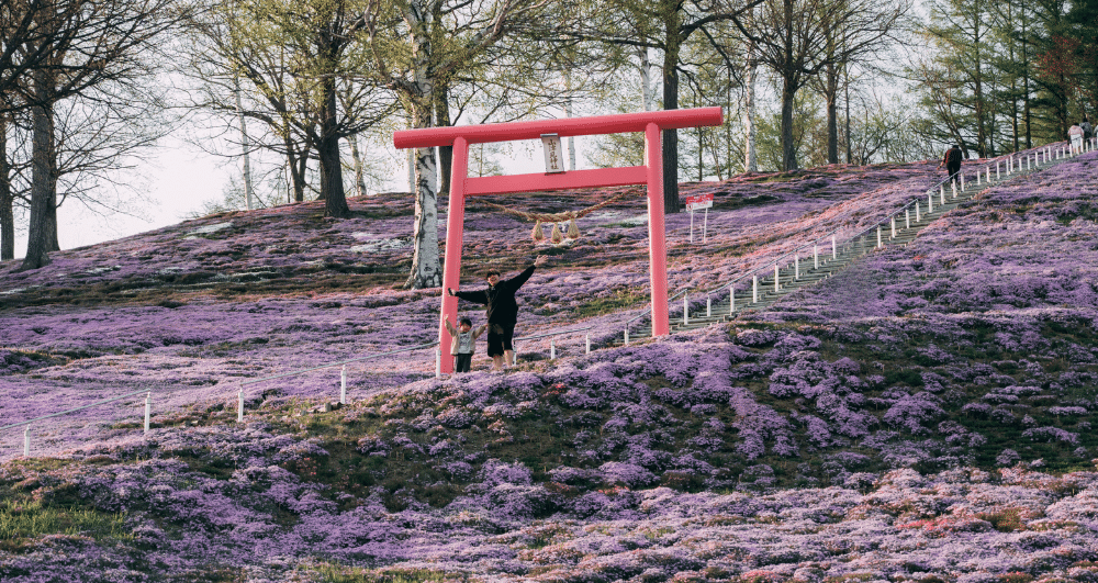 SNS運用の戦略 - 2025-10｜すなお｜note