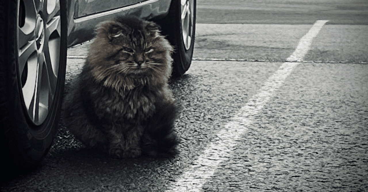 Welcome to Alexa! Passionate Journalist New to note｜ Alexa