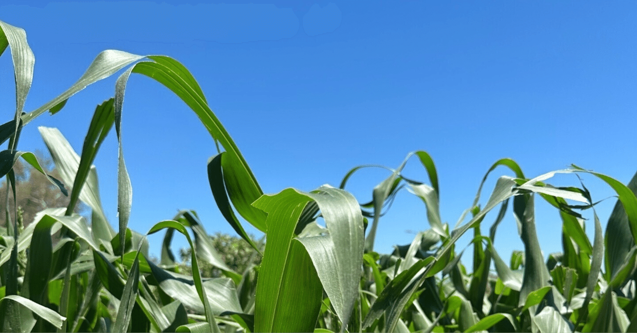 2.1%｜ふゆもりゆきこ