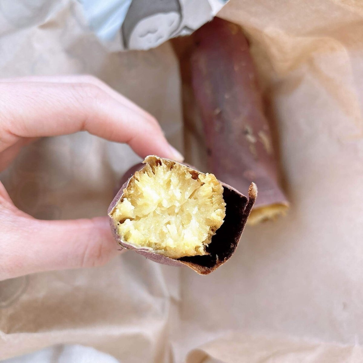 芋活2026.1.10.SAT｜RYOKO HATTORI