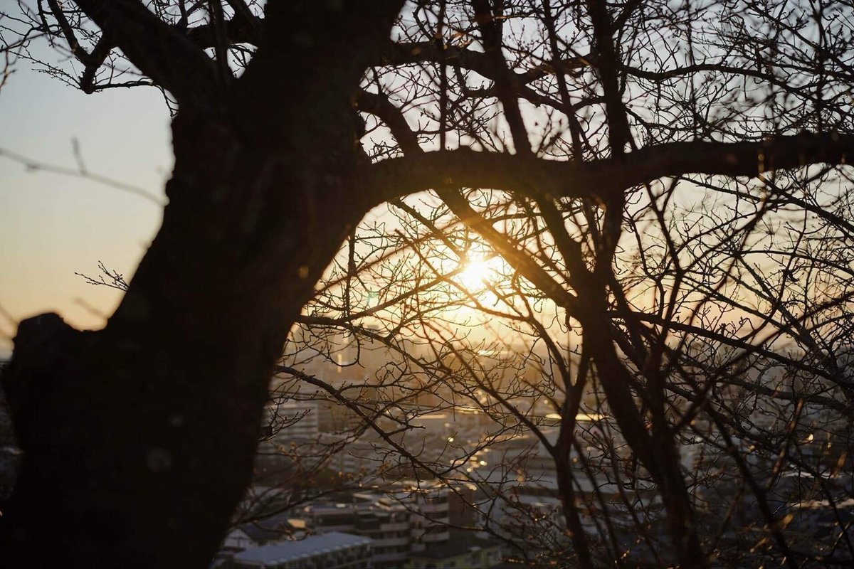 2026年はじまりはじまり｜ayAmi