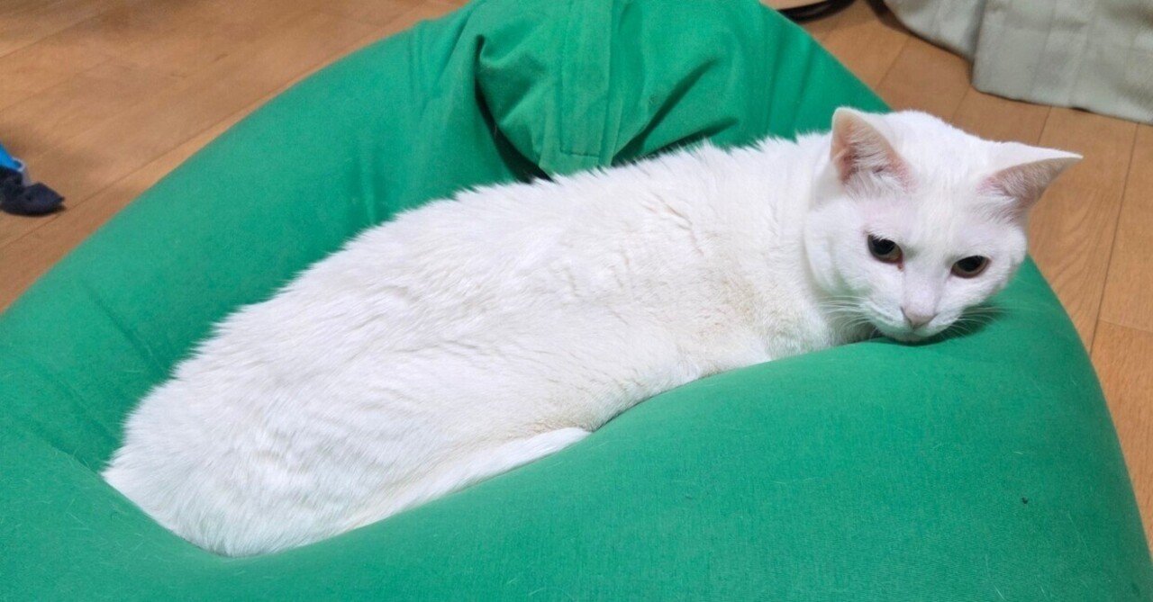 饅頭とチヨ｜皮肉屋ジョー🎭世の中まぜるな危険