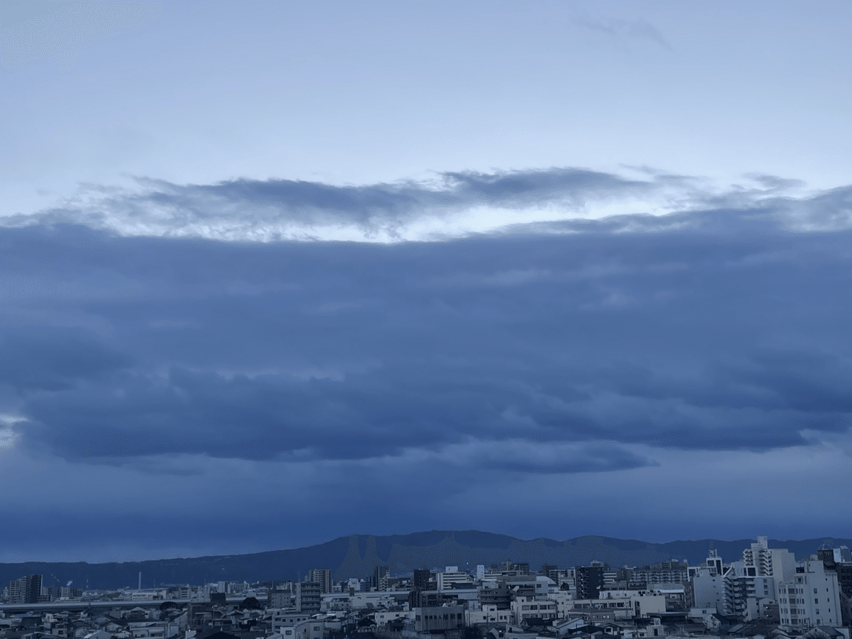 2026/1/11 がん寛解後の日常生活｜みかもね