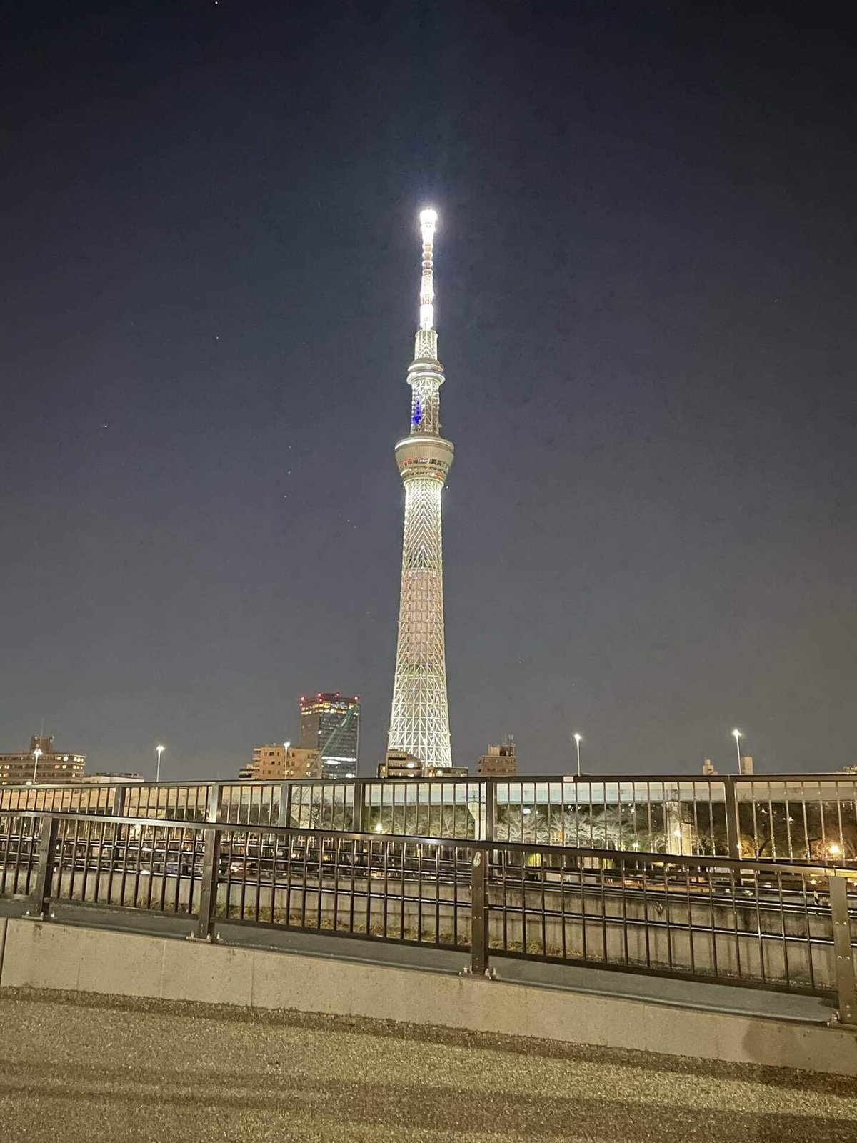 ZINEフェス東京ありがとうございました🎍🥰｜ひなたのさくら｜2.15ZINEフェス横浜