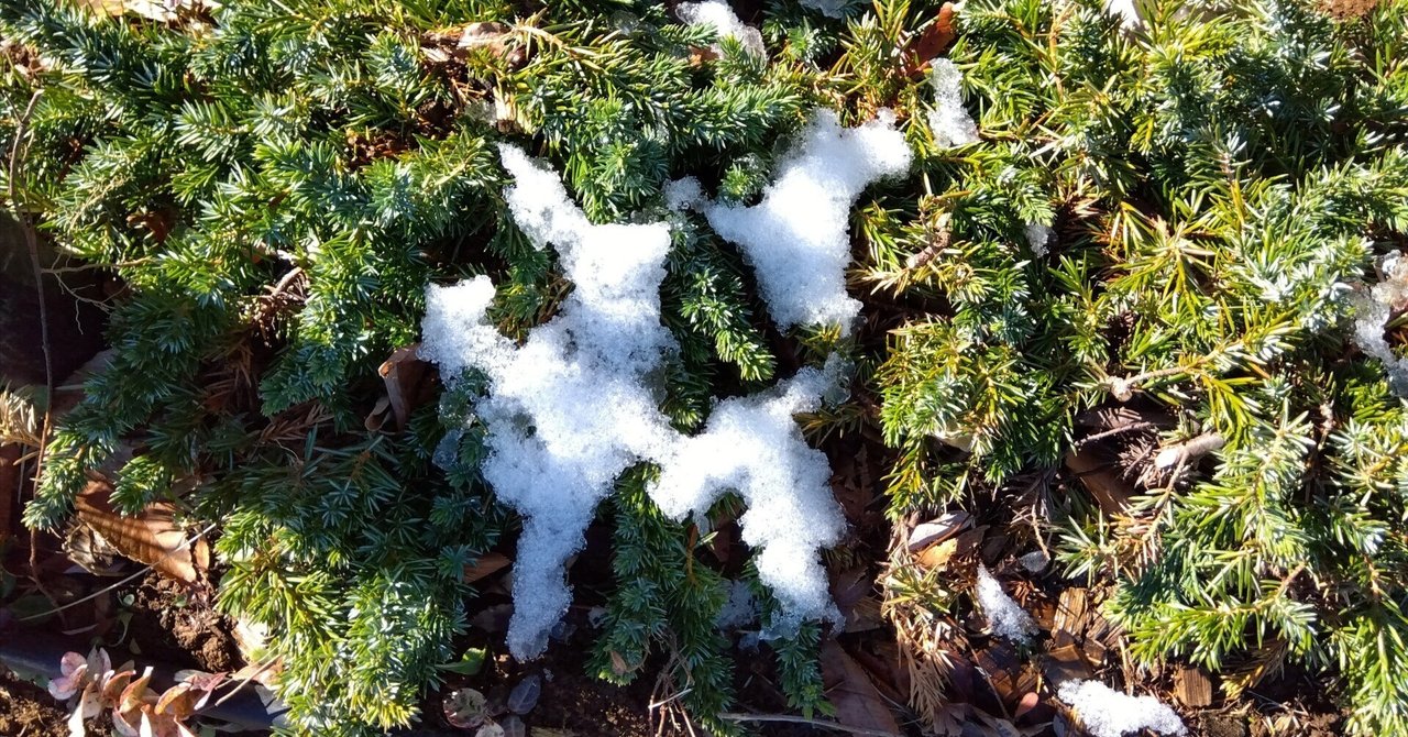 1/11 文系すぎない？？｜いろ