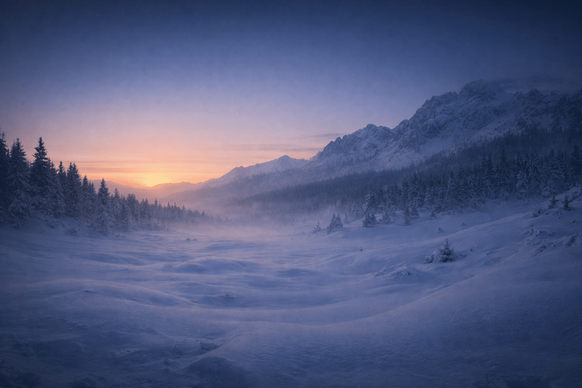 夢で見た存在しないランボー6について語る｜bambi