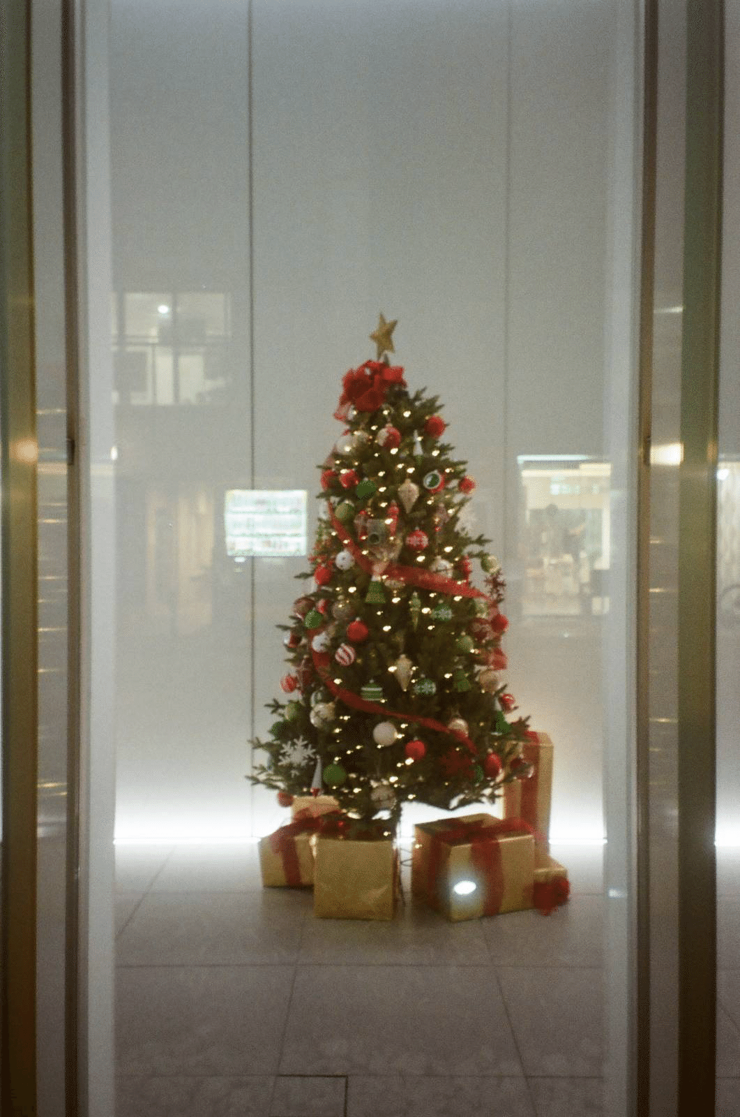 CONTAX Tvs #153｜motokicks