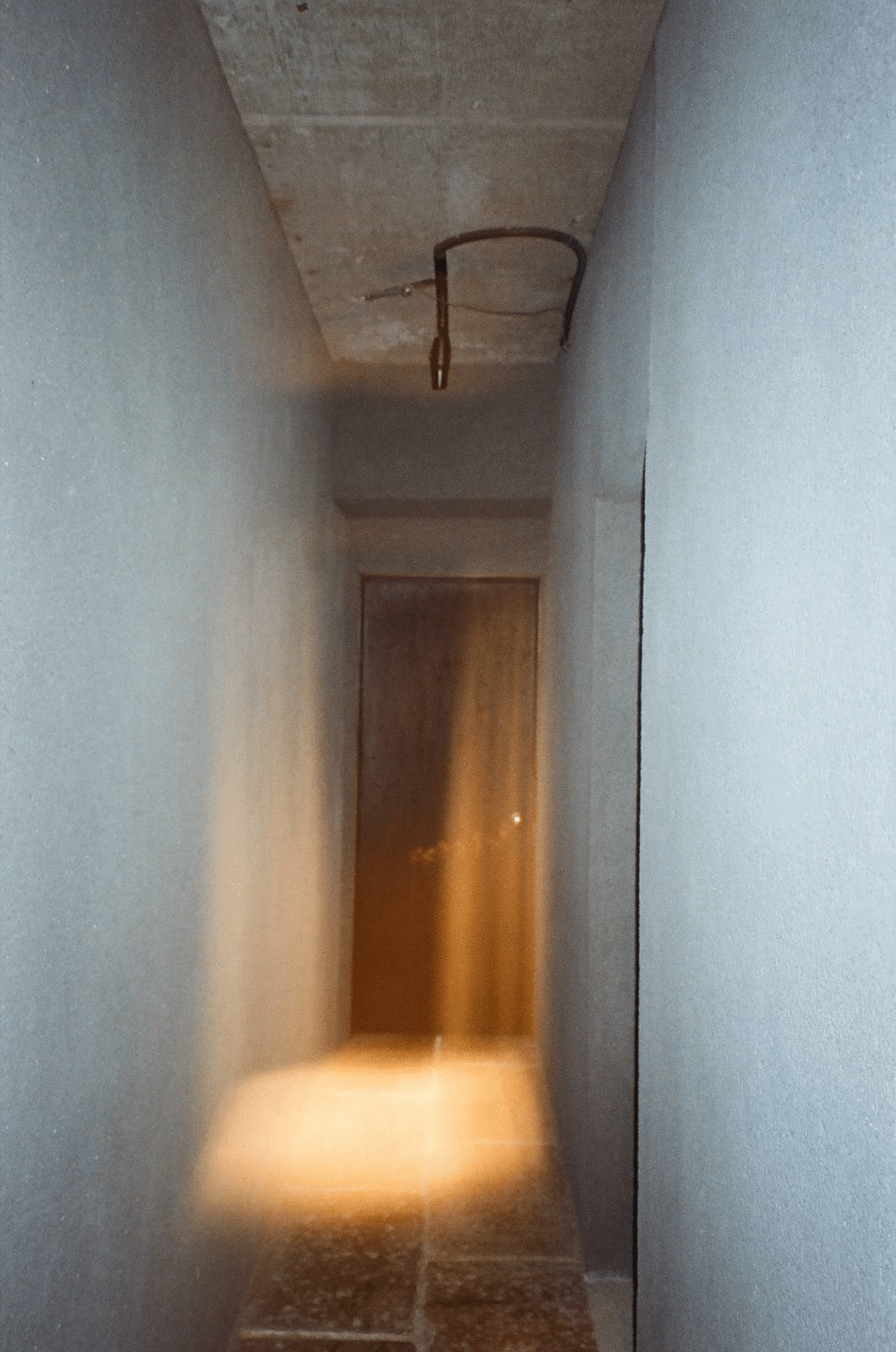 CONTAX Tvs #153｜motokicks