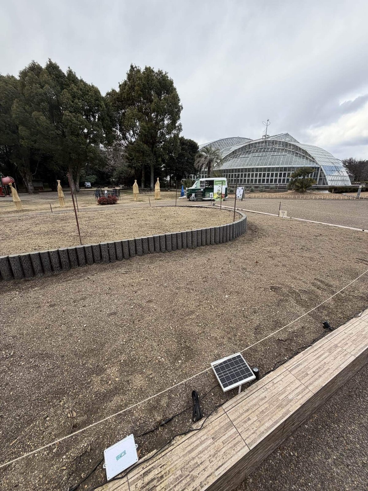 1月の植物園｜mosmac