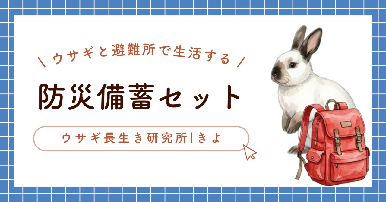 [For Rabbit Owners] 