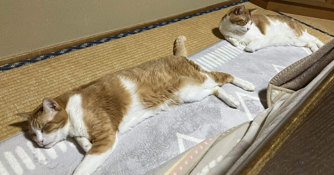 美しいひと。｜ウラカミツヨシ