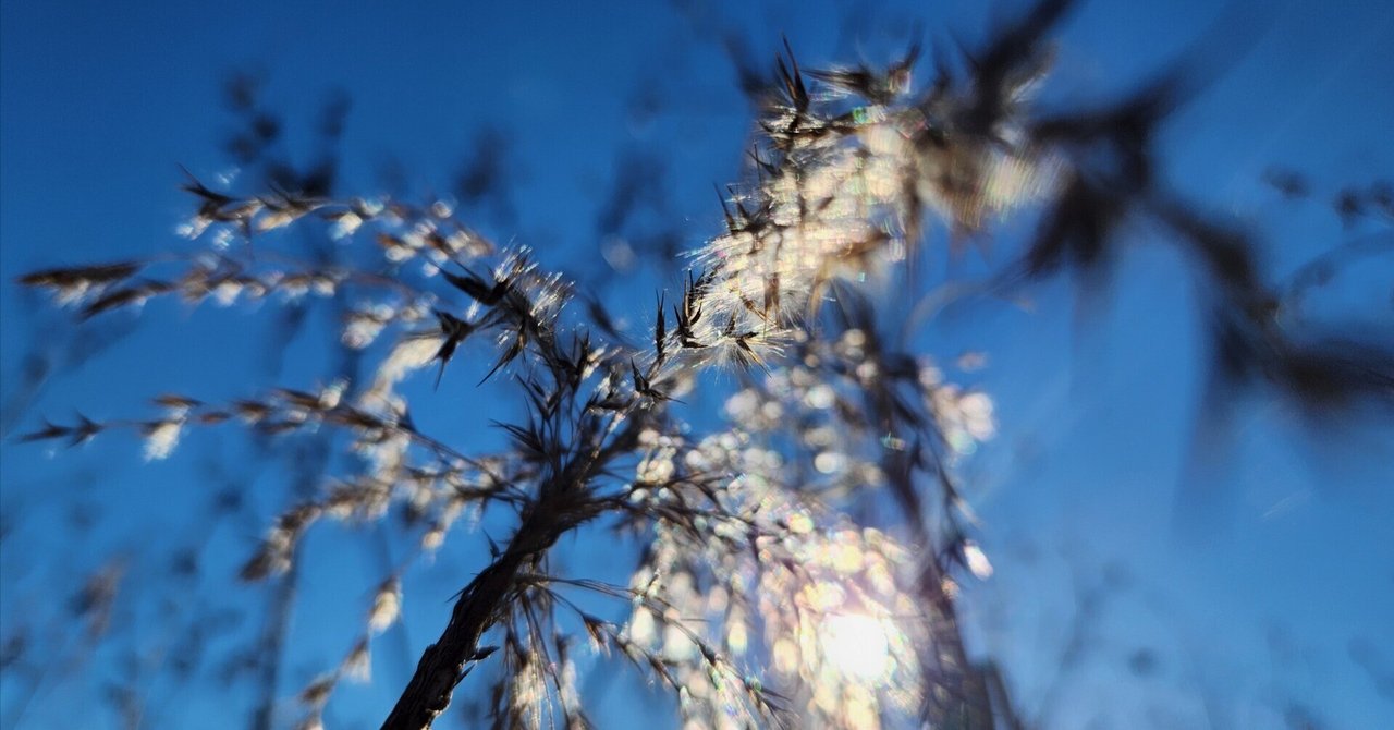 静かな充実感｜特養介護職員@wada.works