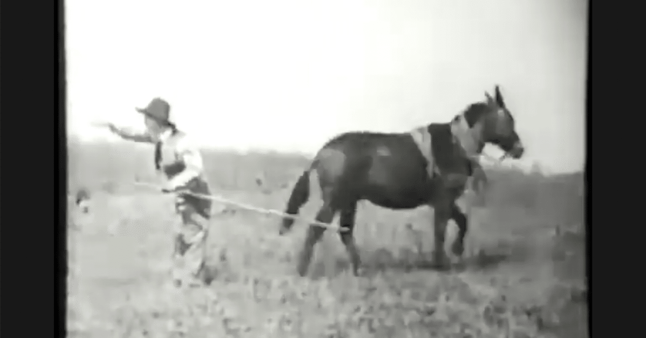 Diary_01112026｜Koji Shibuya