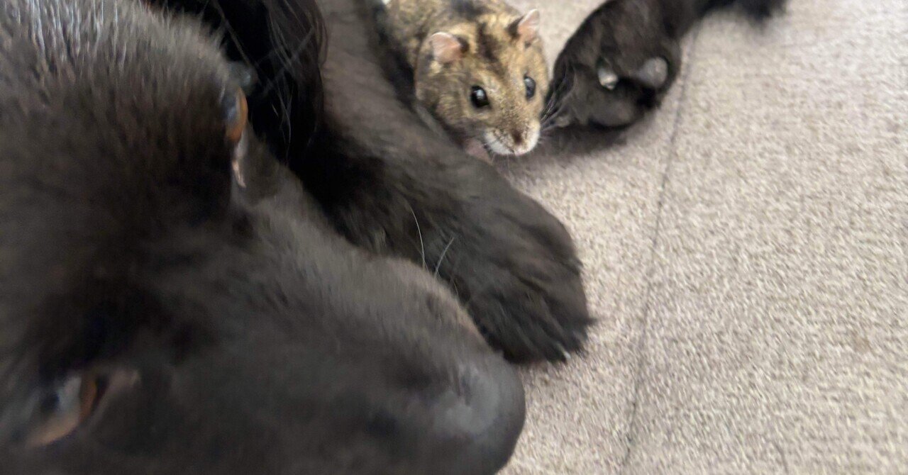 マレーシア日記 167（最低賃金引き上げ）｜yasu