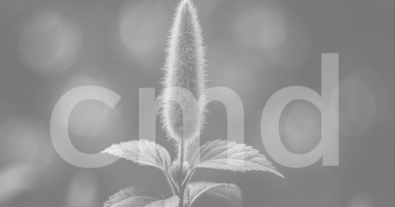 【cmd】指定日の前日（yyyy-mm-dd）を求めるバッチ｜VBAああしてこうしたい