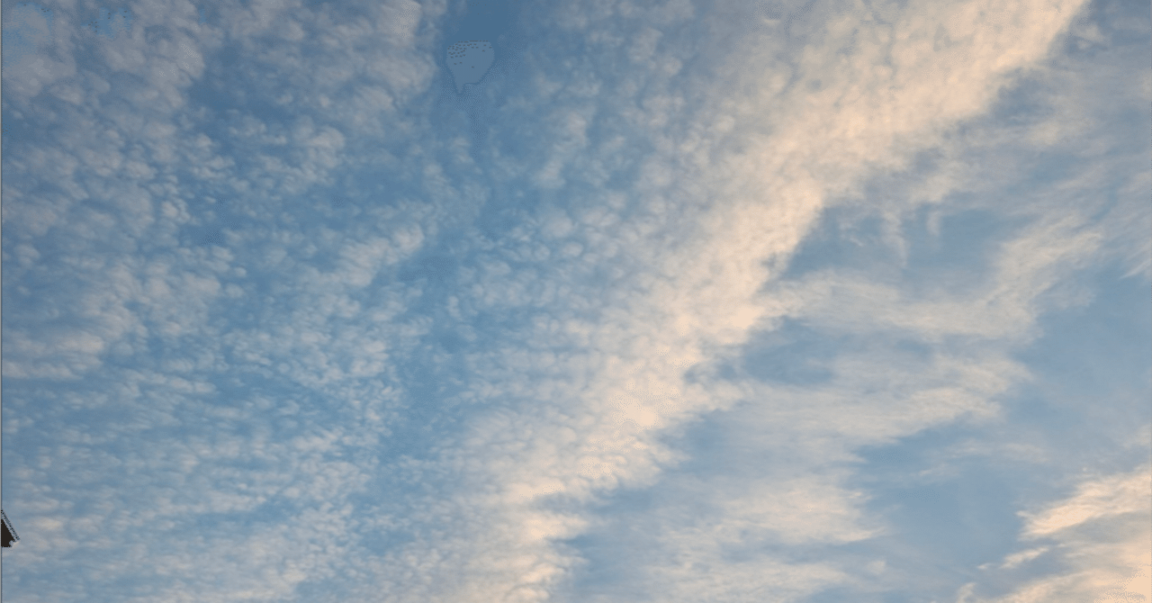 専門中退の僕が「頑張らないダイエット」を勧める理由。正論に殺されかけた過去があるから、無理はさせない。｜taku@元引きこもり不登校のフリーランス