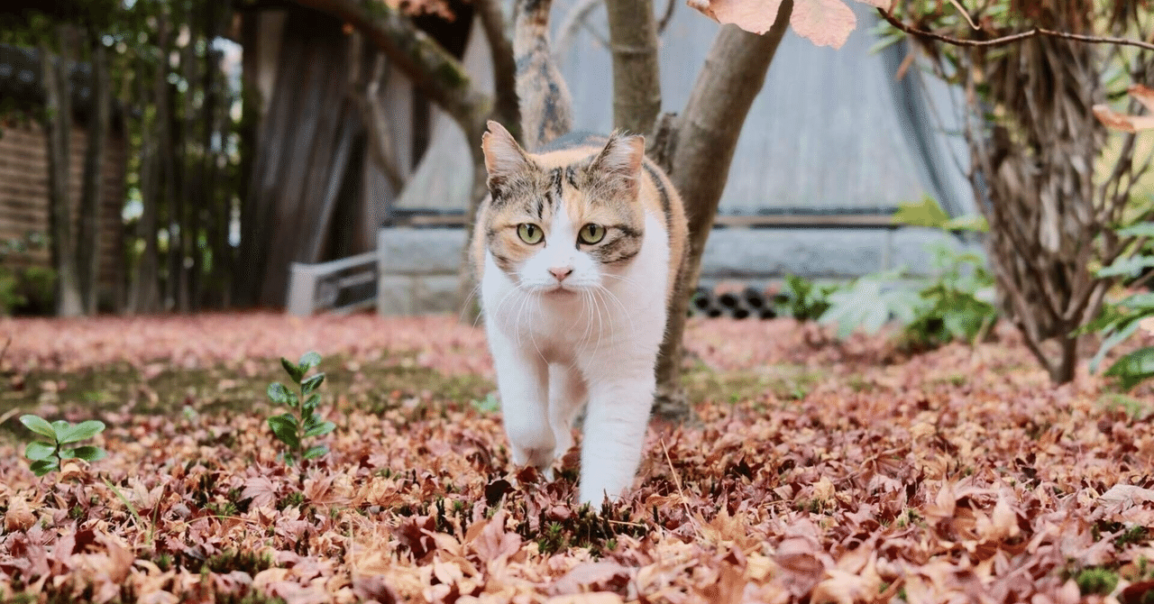 A Brief Explanation of Japan's Left Wing, Socialism, Marxism, Communism ...