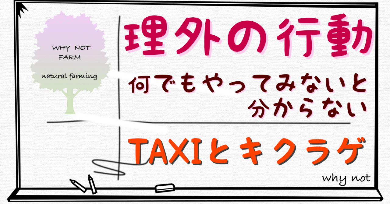 TAXI と キクラゲ｜why_not_mvp