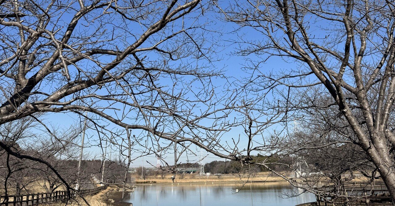 存在の耐えられない人との長い回想——人の壊れやすさについて｜青葉