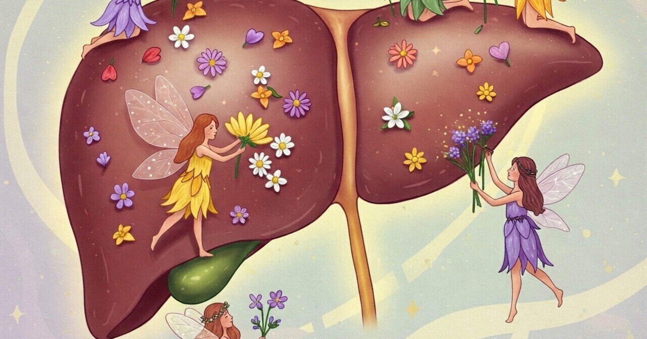 【MRIシリーズ】初めてでも安心*MRCP検査（胆管・膵管MRI）で分かること・準備・不安への対策｜SEE*