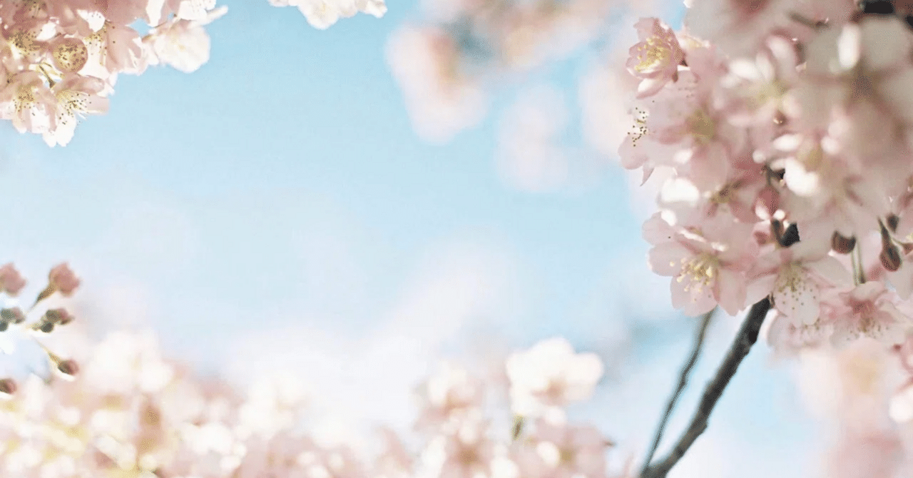 ポスポス 💫｜りさ