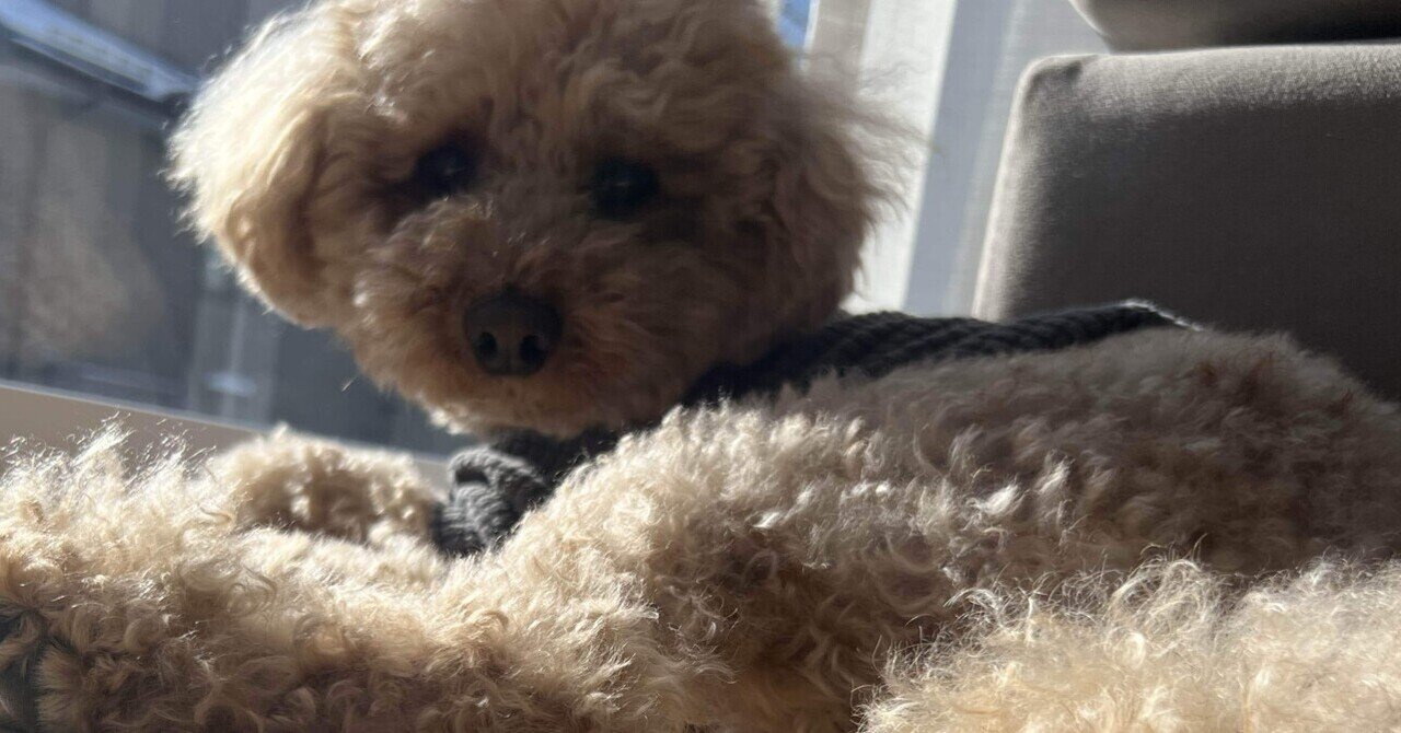 soft moments わたしに戻る、夜のお守り｜momo_mama