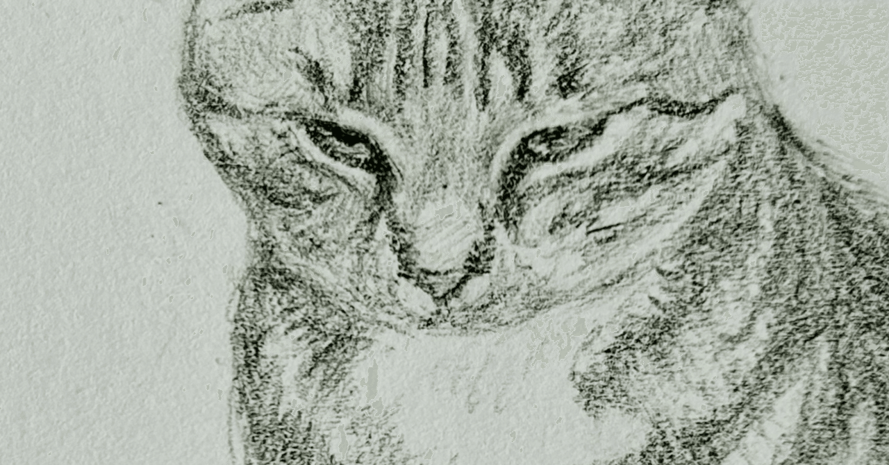 目つきの悪い猫が好き ポストカード画用紙の弱点｜オランダで絵を描く人