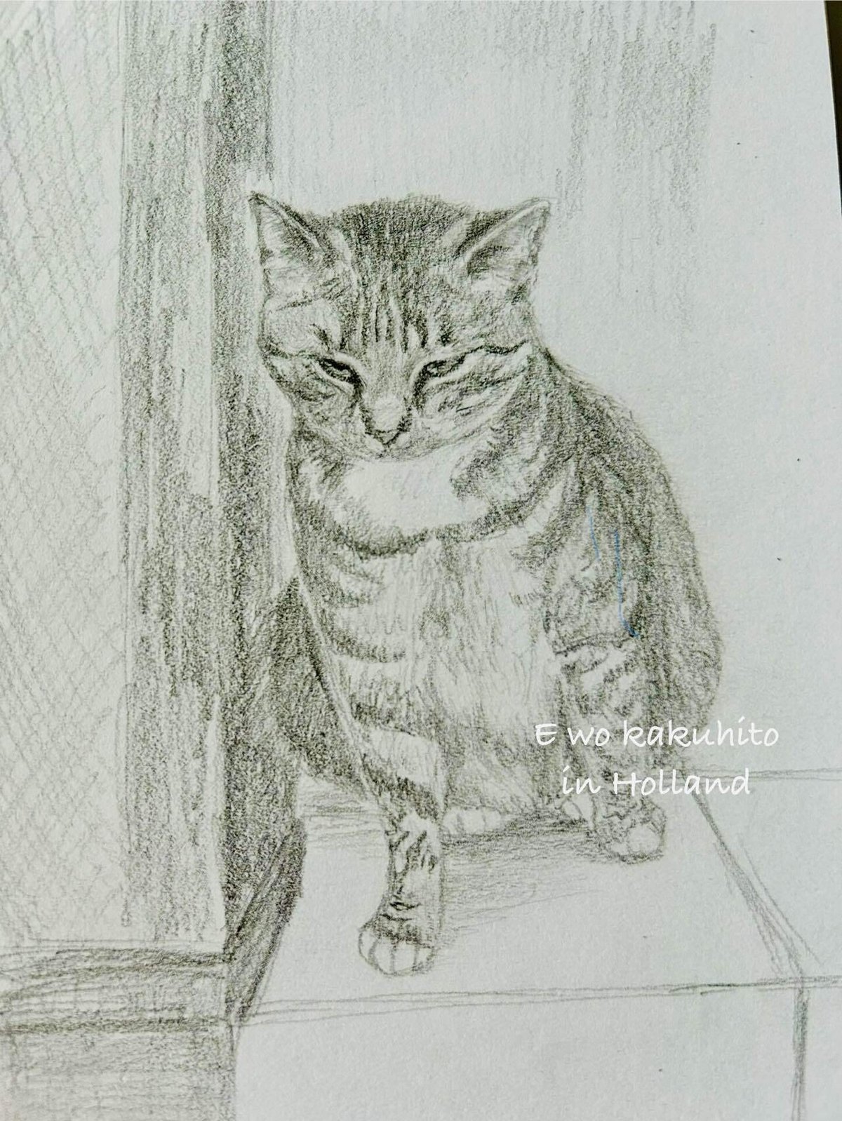 目つきの悪い猫が好き ポストカード画用紙の弱点｜オランダで絵を描く人