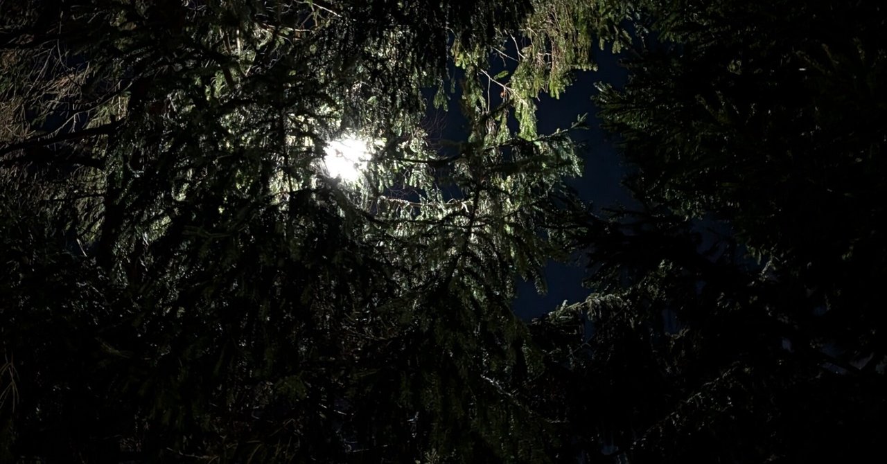 日記｜空虚を感じる日｜20260112｜たむら