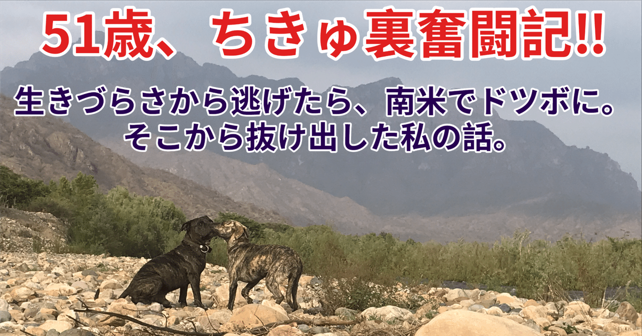 第11話 認めたくない自分を認めた時。目の前の世界が変わっていく。｜自分でしあわせになっちゃお